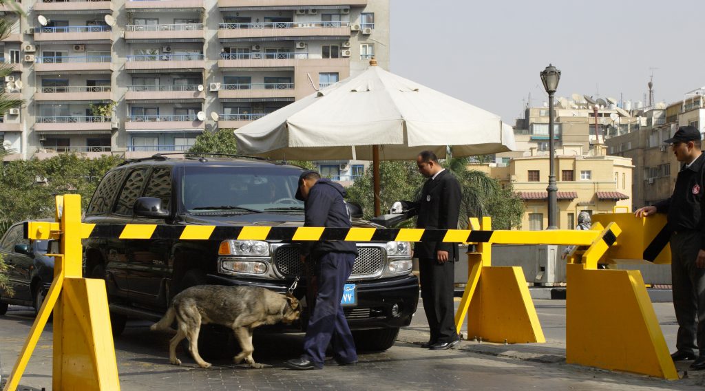 Dog Fighter | Safe Guard - Egypt's Premier Security Services
